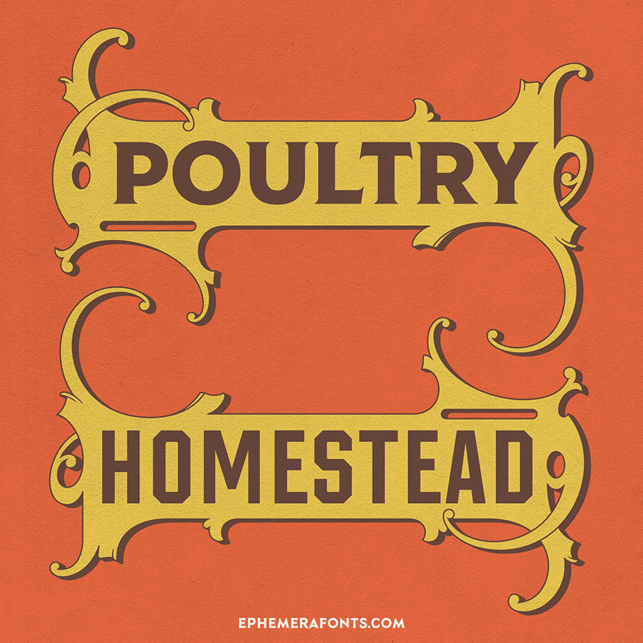 Ephemera Panels 14 | Ephemera Fonts