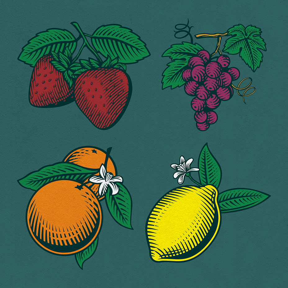 Random Fruit Illustrations 01 | Ephemera Fonts